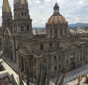 Productores - Berries Paradise