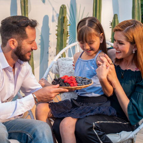 Home - Berries Paradise