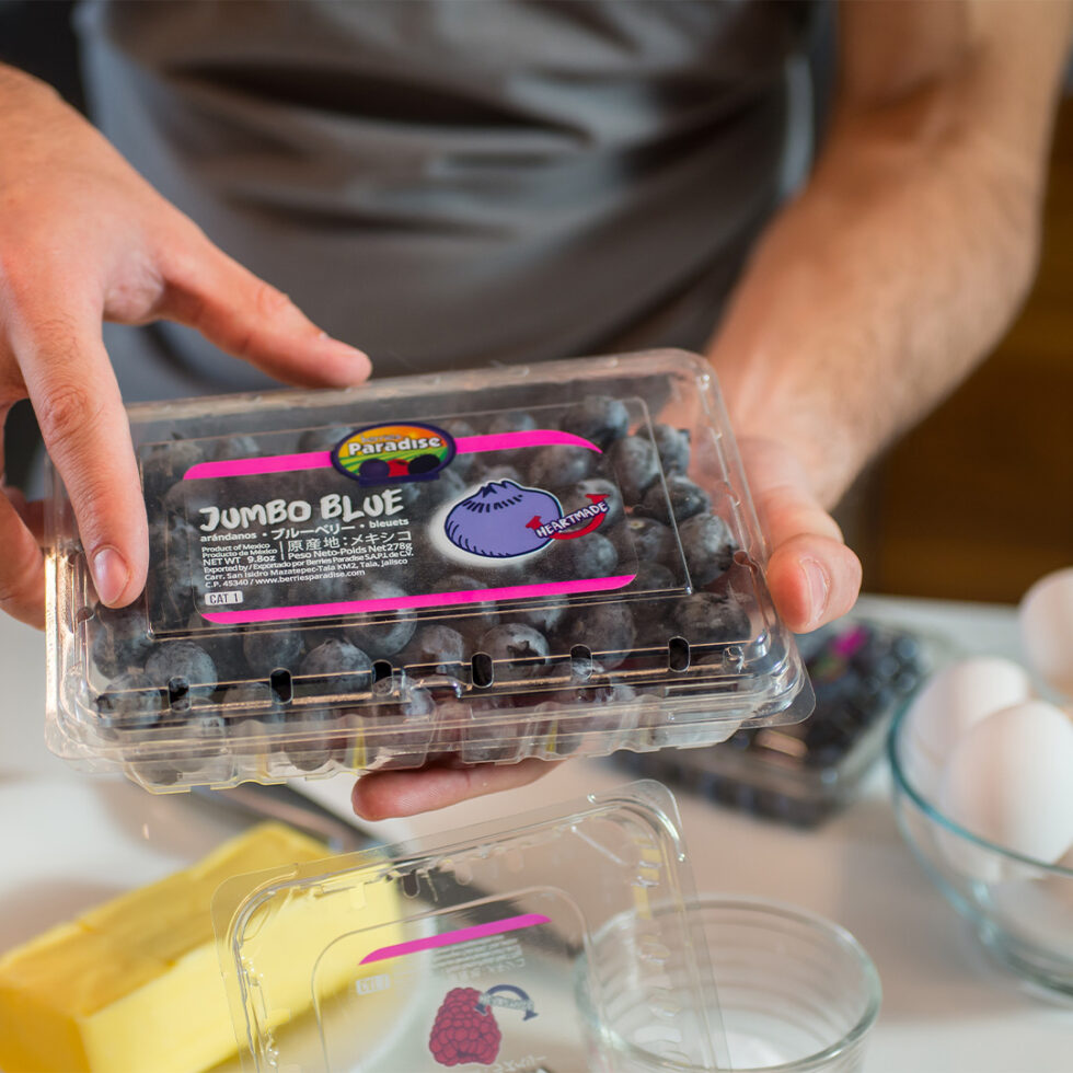 Jumbo - Berries Paradise